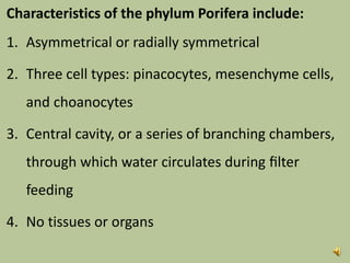 9. origins of multicellularity & phylum porifera part I in clear ...