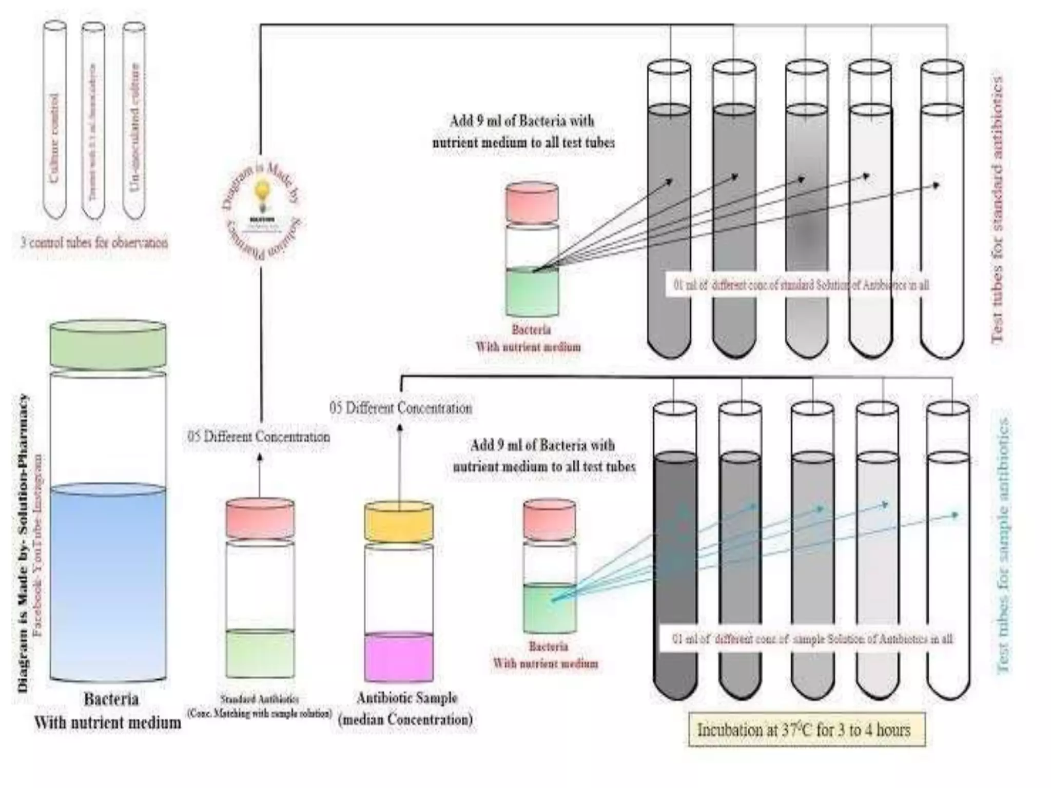 9. Microbiological assay | PPTX