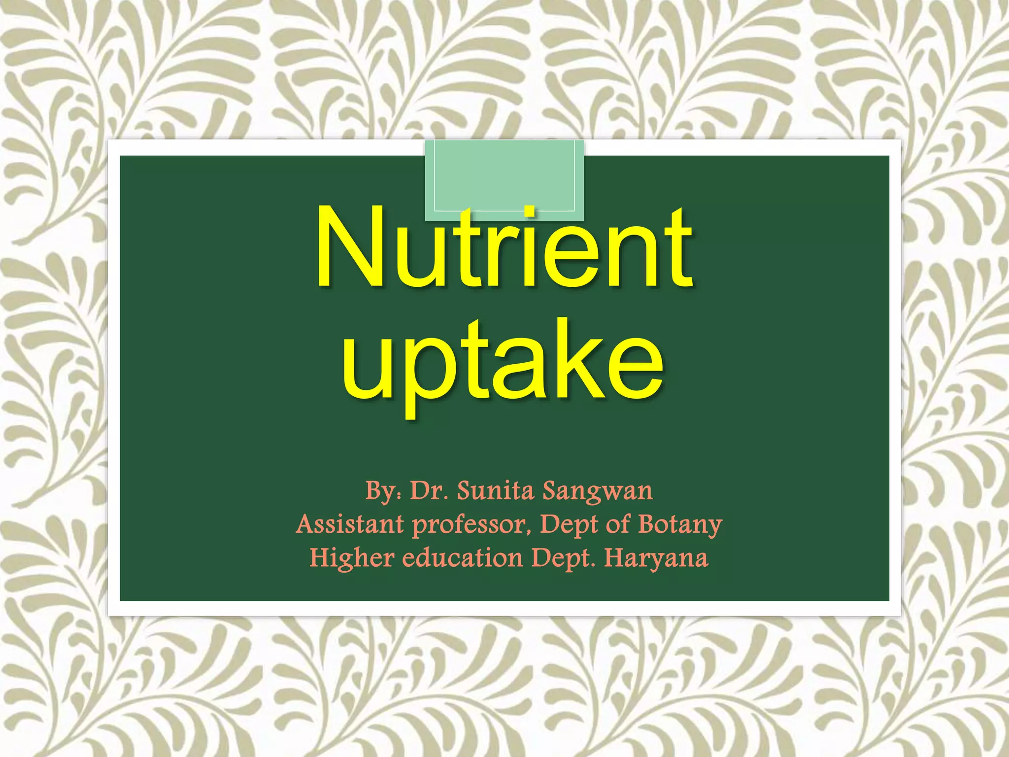 Nutrient uptake | PPTX