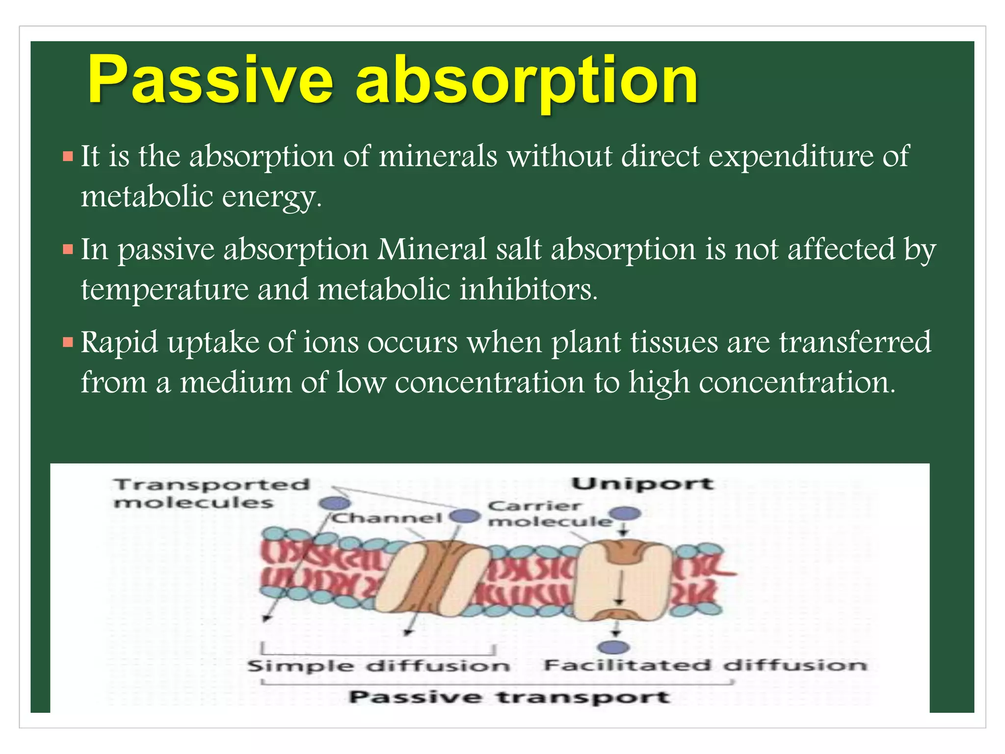 Nutrient uptake | PPTX