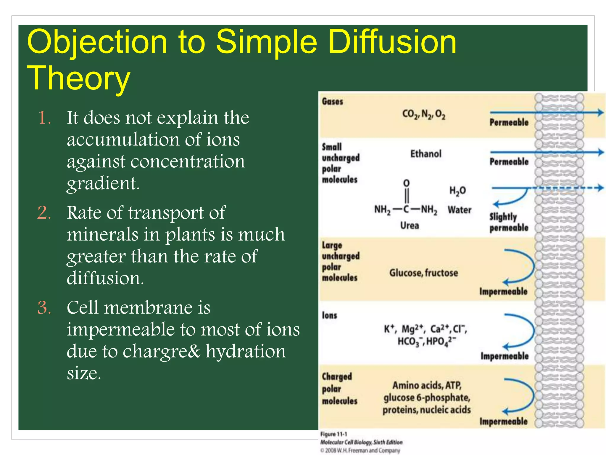 Nutrient uptake | PPTX
