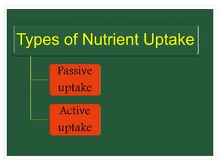 Nutrient uptake | PPTX