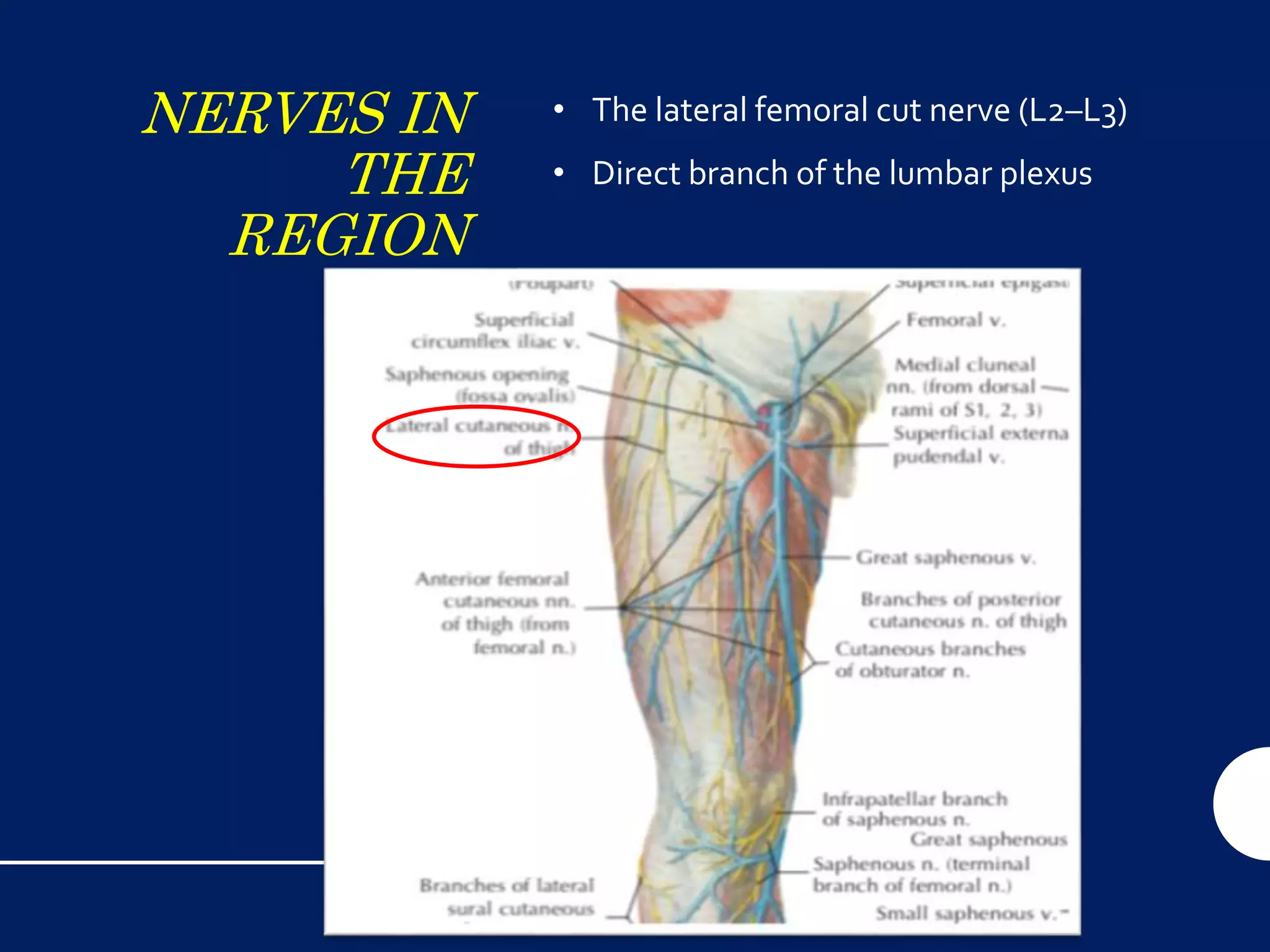 Antero Lateral thigh flap | PPTX