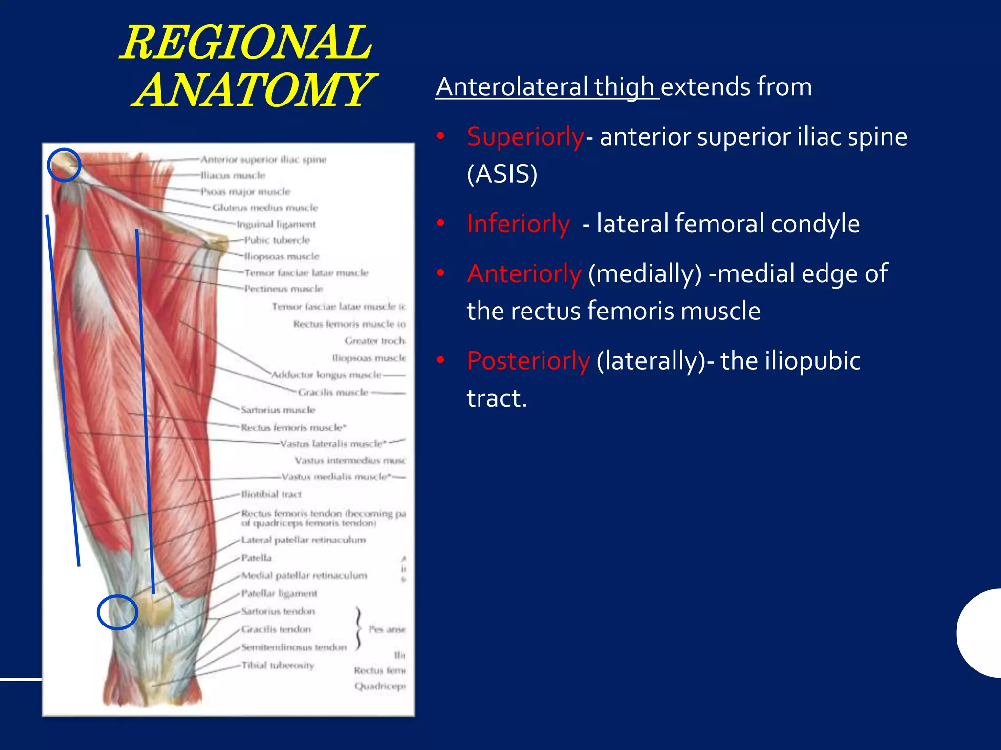 Antero Lateral thigh flap | PPTX