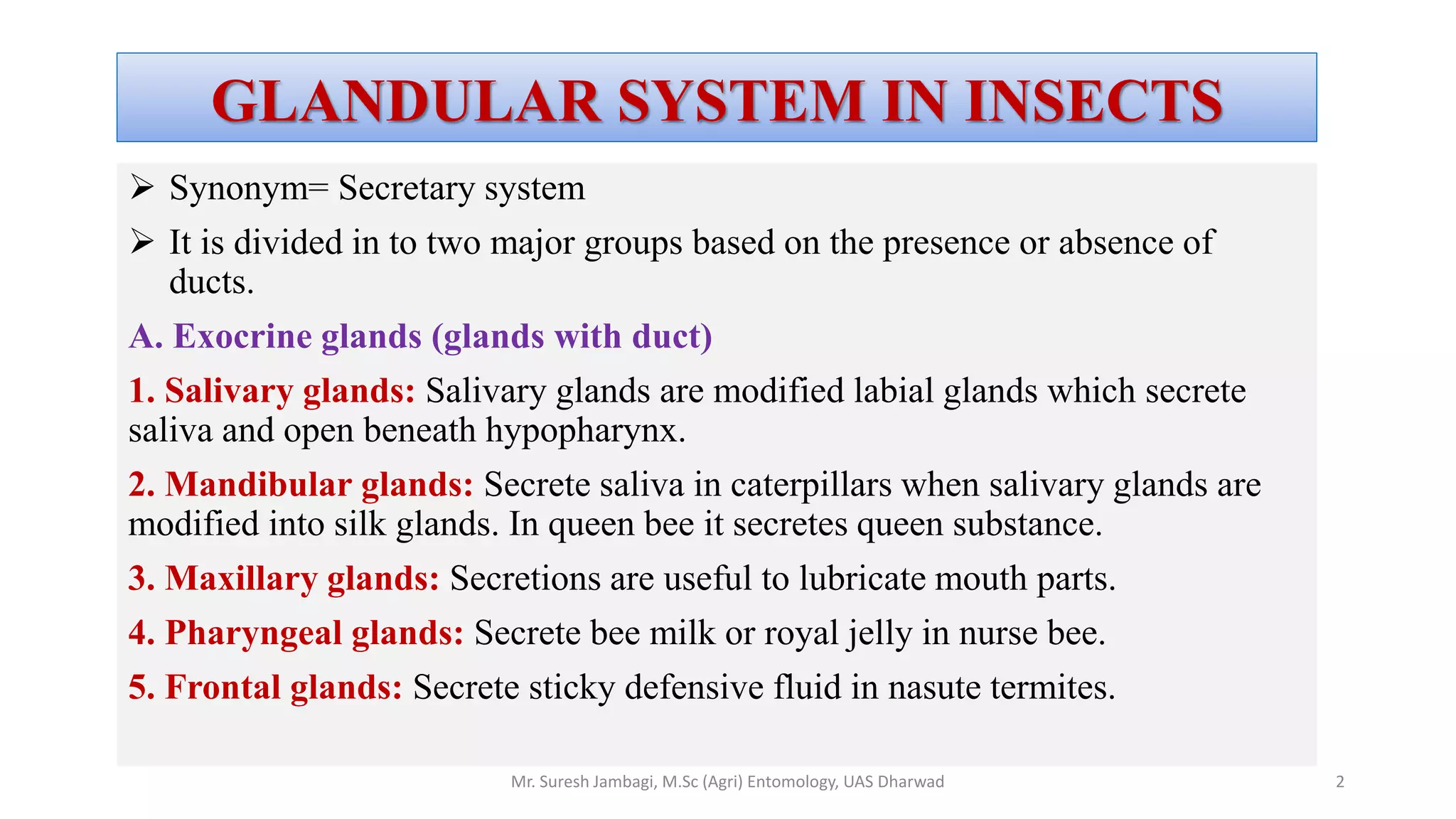 Glandular system in insects | PPTX