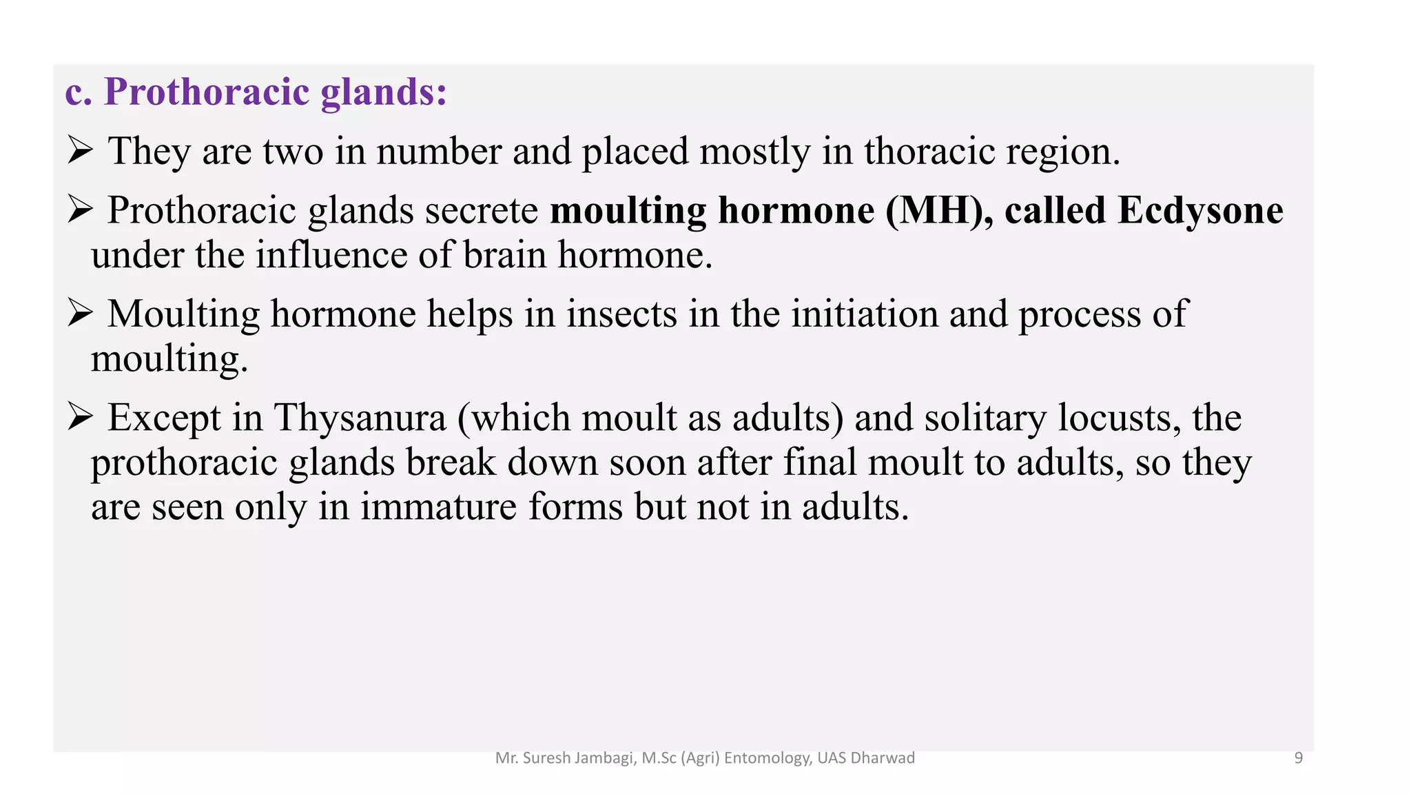 Glandular system in insects | PPTX