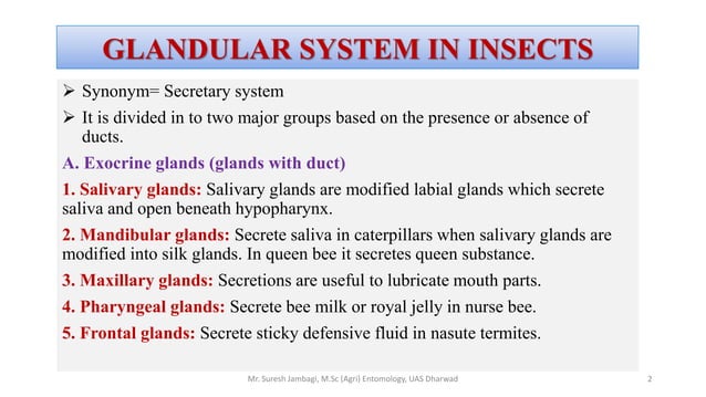 Glandular system in insects | PPTX