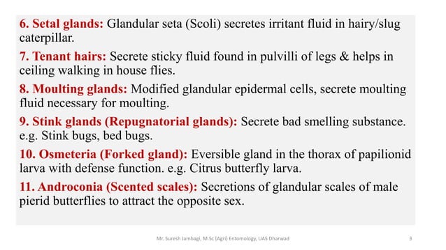 Glandular system in insects | PPTX