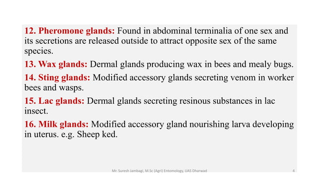 Glandular system in insects | PPTX