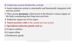Glandular system in insects | PPTX