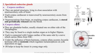 Glandular system in insects | PPTX