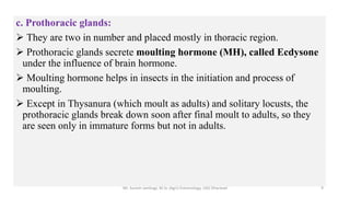 Glandular system in insects | PPTX
