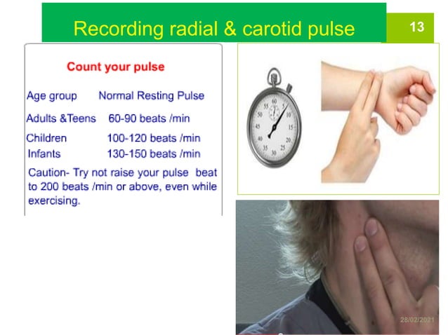 9. effect of exercise on pulse rate | PPTX