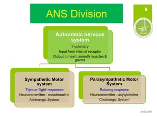 9. effect of exercise on pulse rate | PPTX