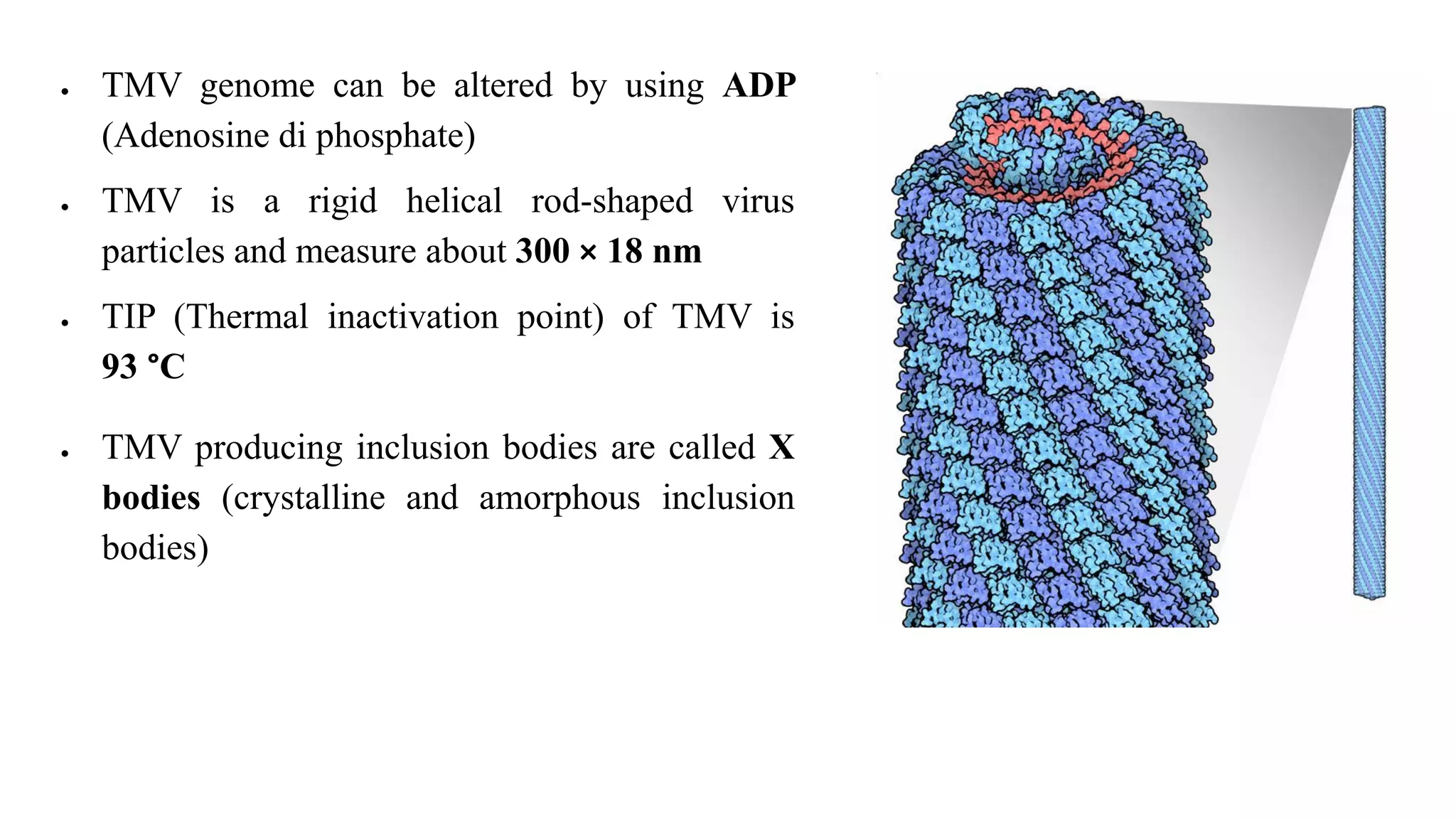 Tobacco mosaic virus (tmv) | PDF