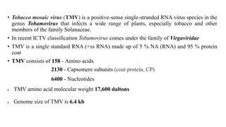 Tobacco mosaic virus (tmv) | PDF | Biological Sciences | Science