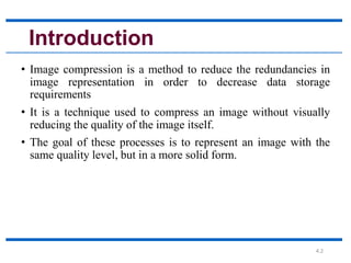 9. hofman coding in DIP | PPTX