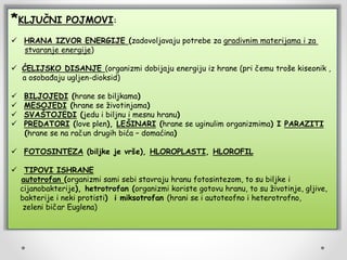 9. hrana i tipovi ishrane | PPTX