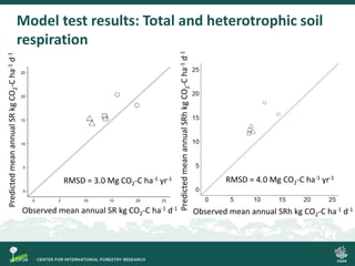 Process-based modelling of peat greenhouse gas emissions in Indonesian ...