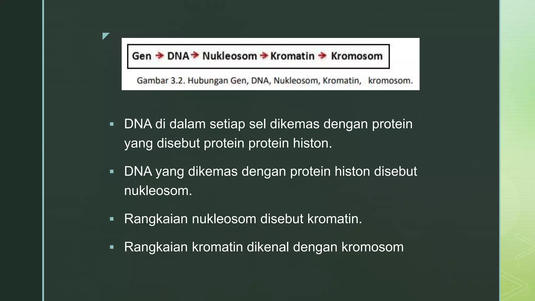 asam nukleat dan protein | PPTX
