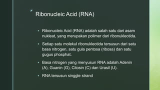 asam nukleat dan protein | PPTX