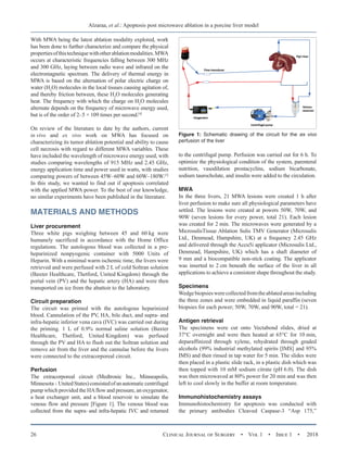Apoptosis Post Microwave Ablation of the Liver: Does it Change with Power? | PDF | Chemistry ...