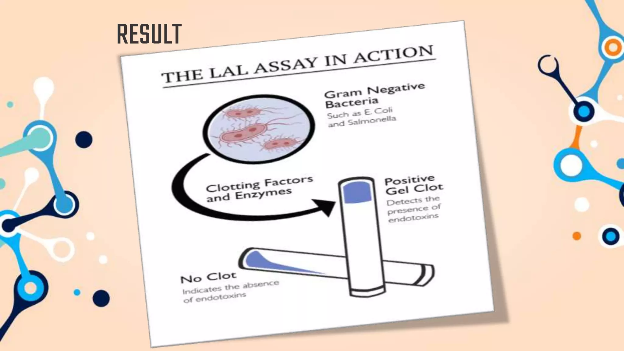 LIMULUS AMEBOCYTE LYSATE TEST | PPTX