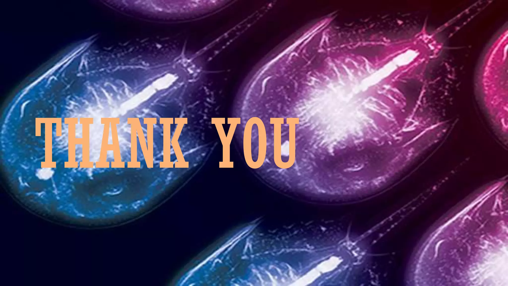 LIMULUS AMEBOCYTE LYSATE TEST | PPTX