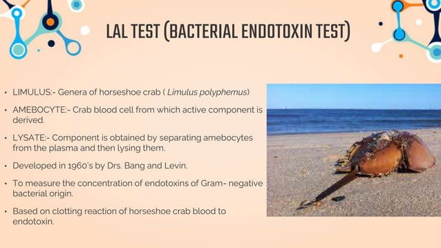 LIMULUS AMEBOCYTE LYSATE TEST | PPTX