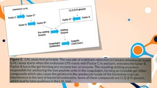 LIMULUS AMEBOCYTE LYSATE TEST | PPTX