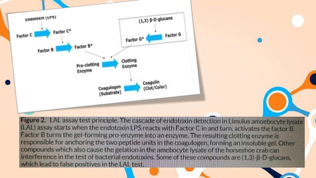 LIMULUS AMEBOCYTE LYSATE TEST | PPTX