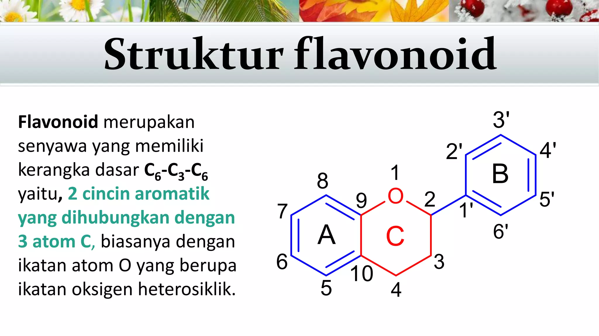 9. FLAVONOID 2021.pptx