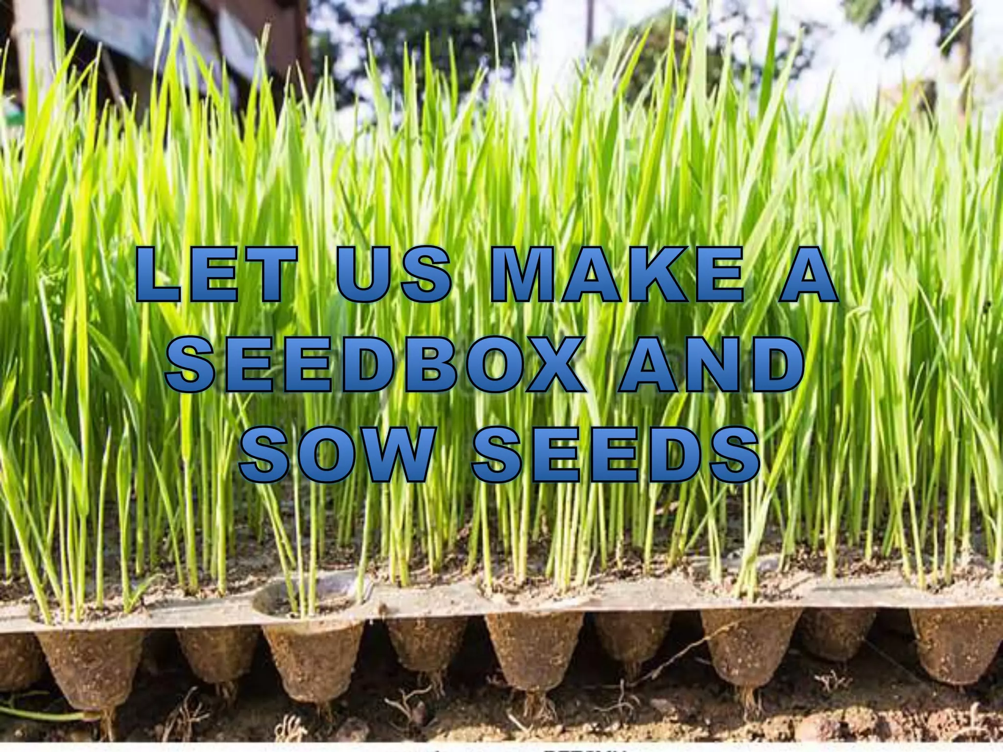 Making a Seedbox.pptx