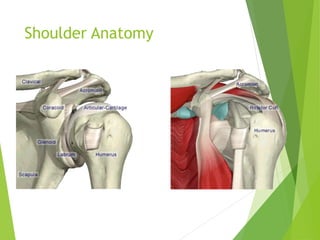 Injuries around the shoulder | PPT