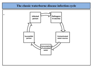 9. Determinants of health.pptx