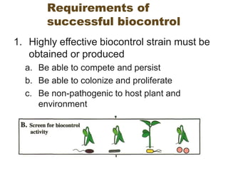 9. biological-control-of-plant-pathogen- | PDF | Gardening | Home & Garden