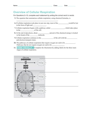 9.1 Cellular Respiration_ An Overview.pdf