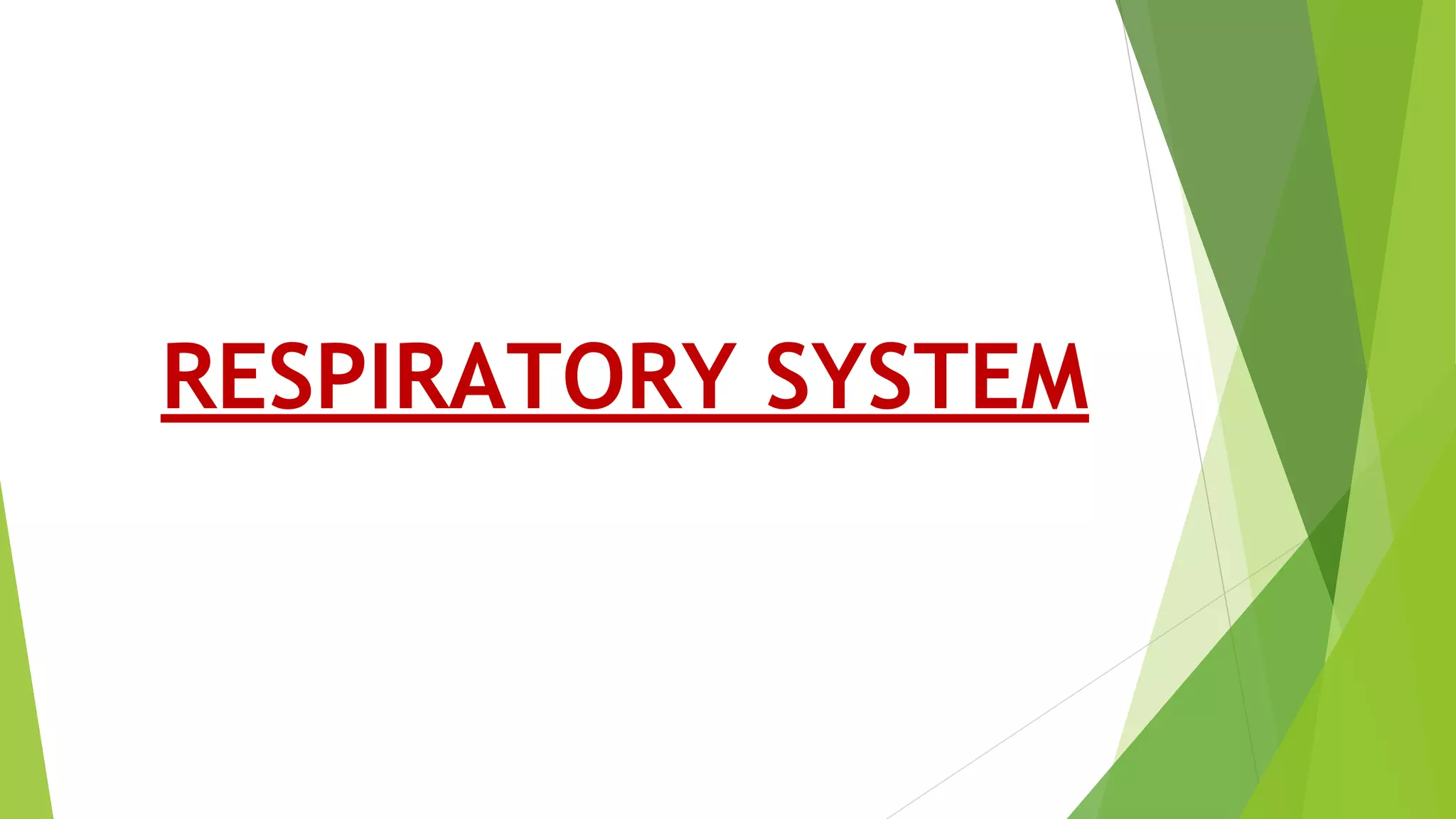 9. RESPIRATORY SYSTEM.pptx.pdf