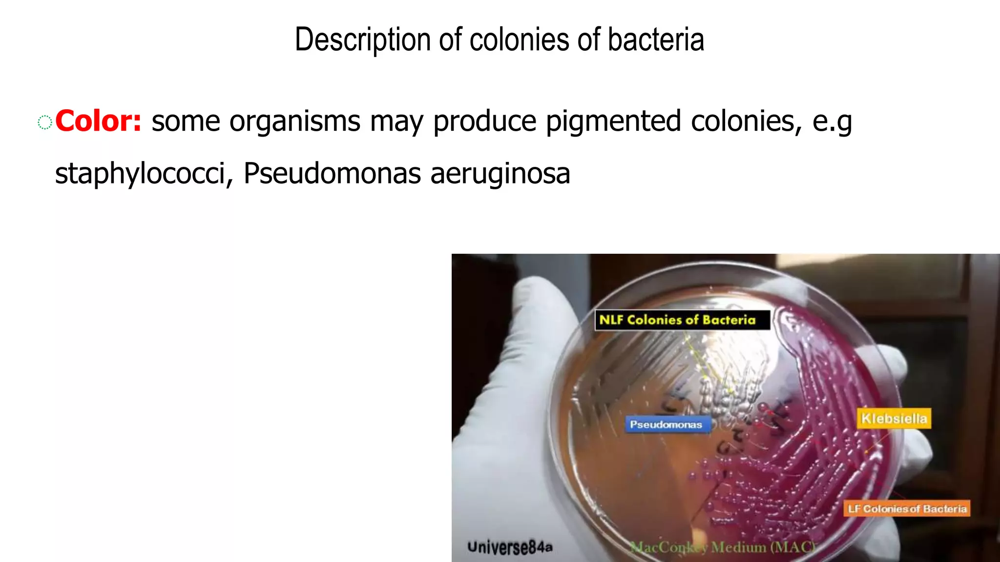 9. Description & growth of colonies.pptx