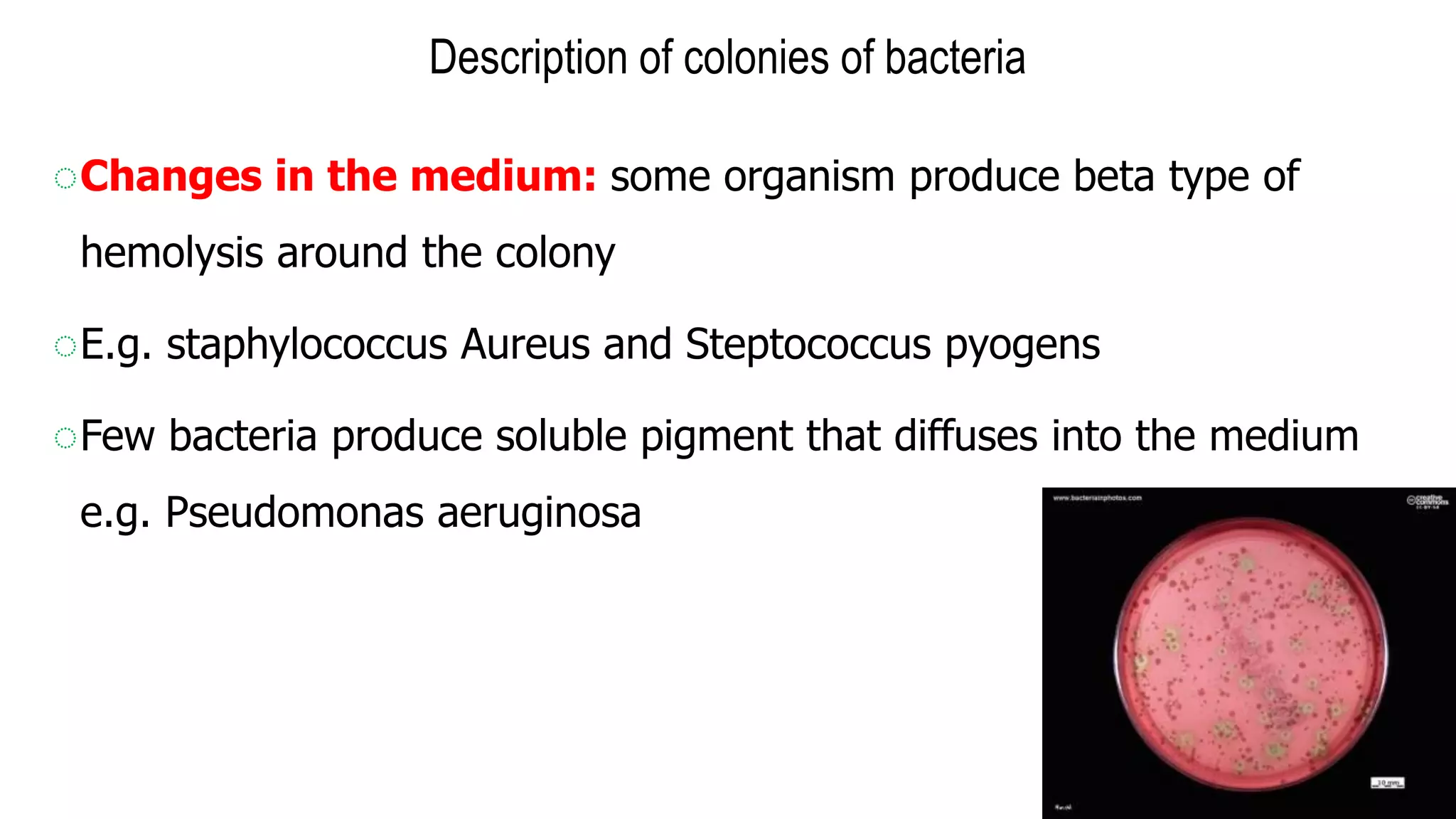 9. Description & growth of colonies.pptx