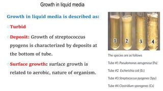 9. Description & growth of colonies.pptx