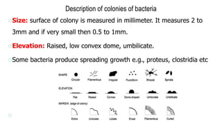 9. Description & growth of colonies.pptx