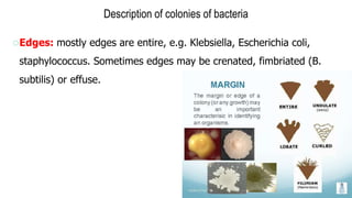9. Description & growth of colonies.pptx