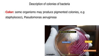 9. Description & growth of colonies.pptx