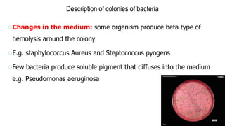 9. Description & growth of colonies.pptx