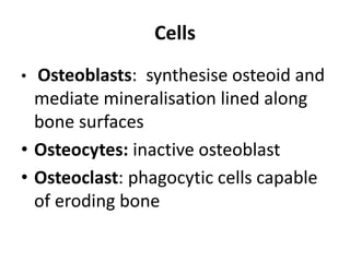 9. Bone tissue.pptx