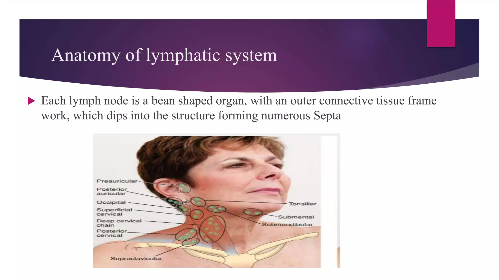 9.NECK ASSESSMENT.pptx