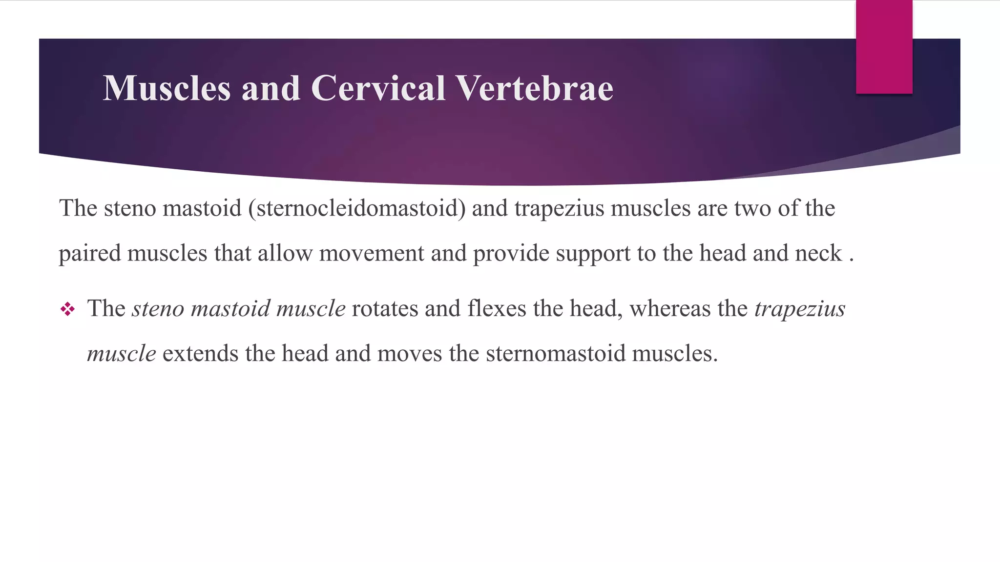 9.NECK ASSESSMENT.pptx
