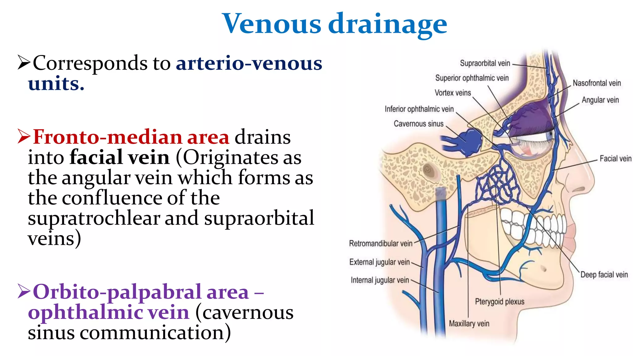 9. Anatomy of the Nose and Paranasal sinuses, Dr. Maxprince.pptx