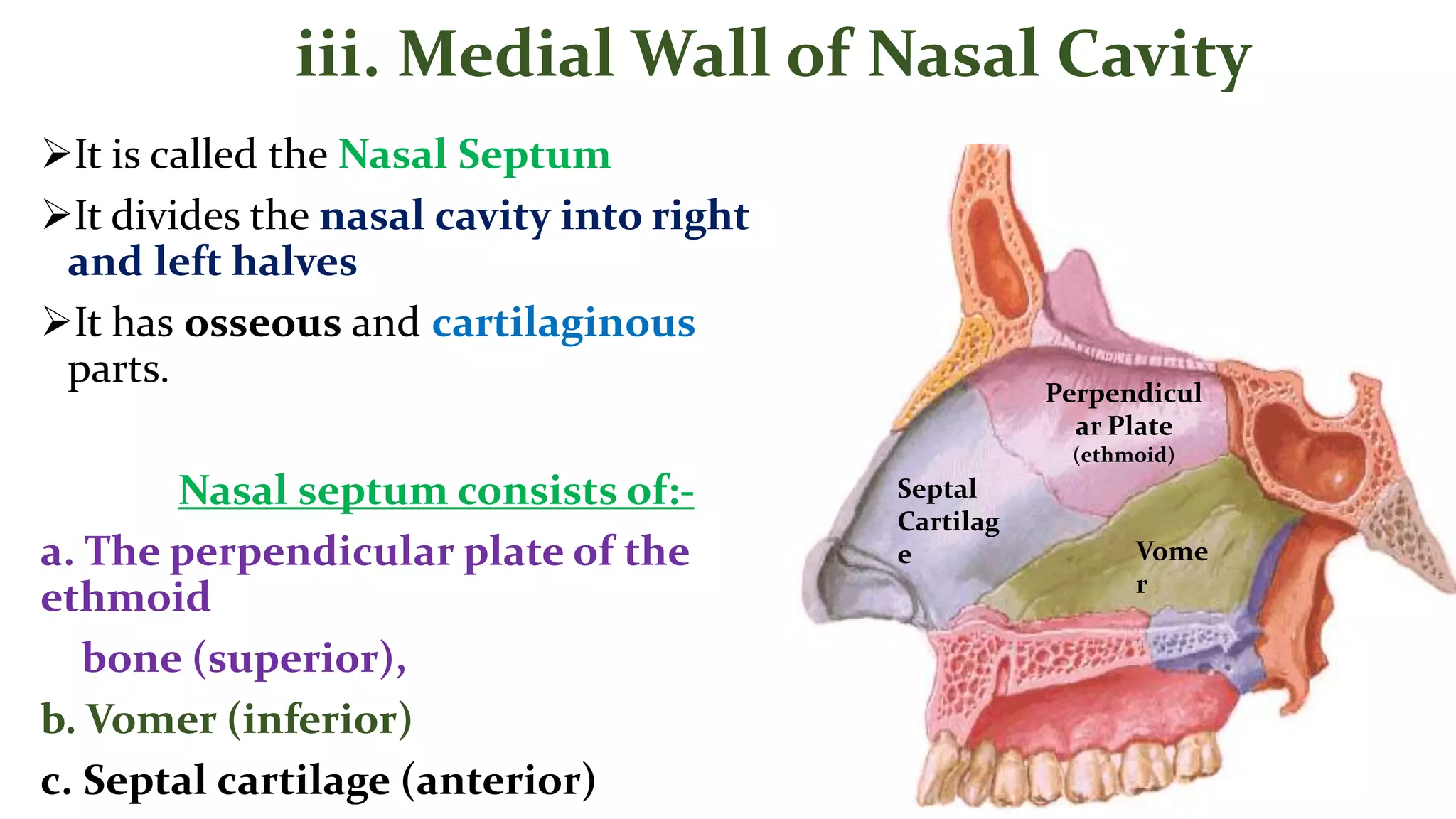 9. Anatomy of the Nose and Paranasal sinuses, Dr. Maxprince.pptx